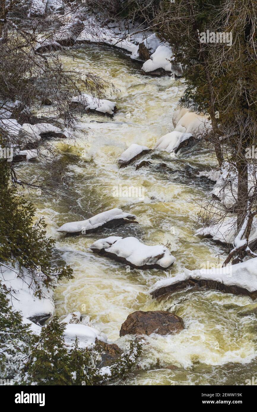 Grey Sauble Conservation Area Niagara Escarpment Owen Sound Ontario ...