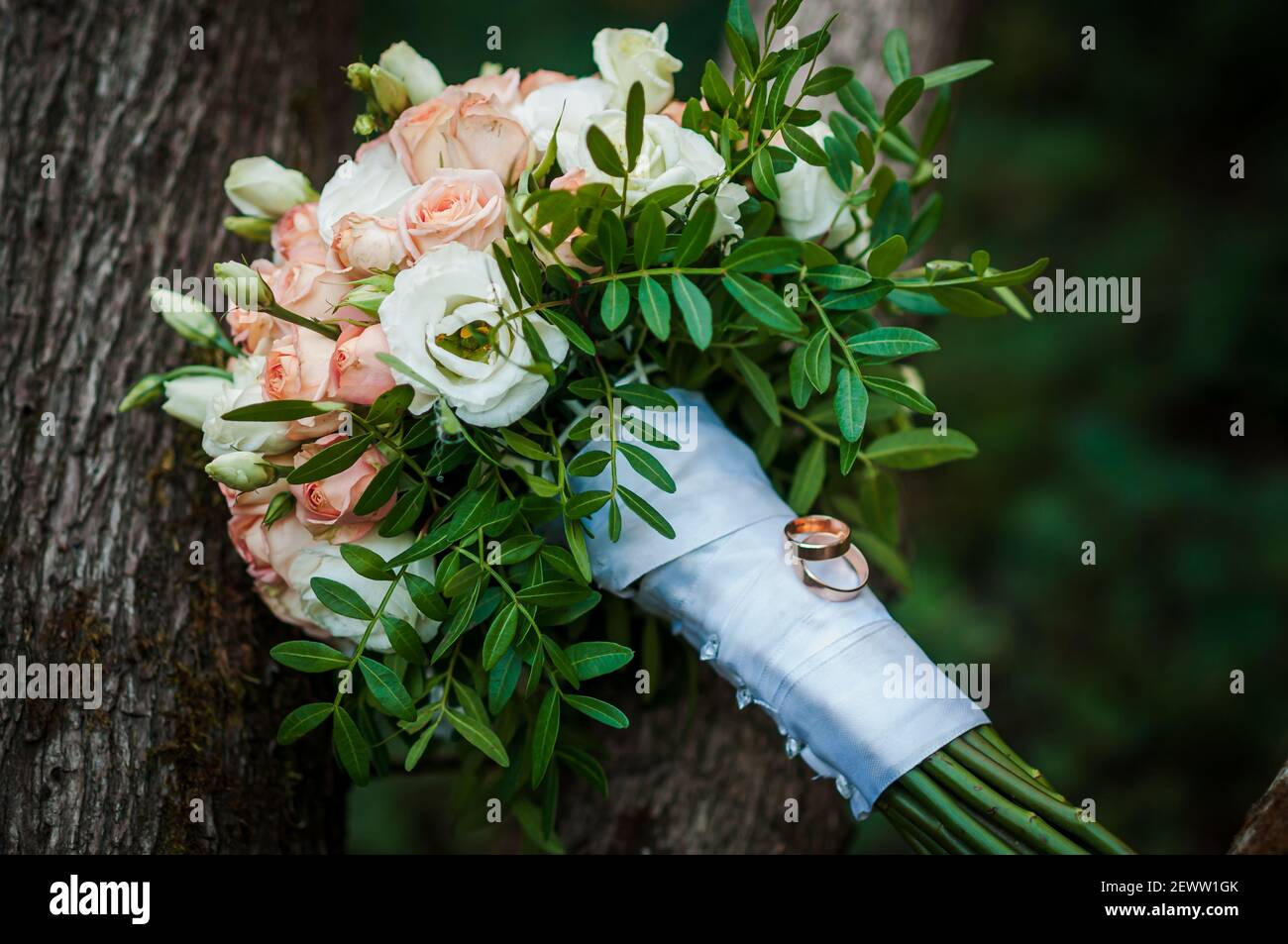 Stand rings hi-res stock photography and images - Alamy