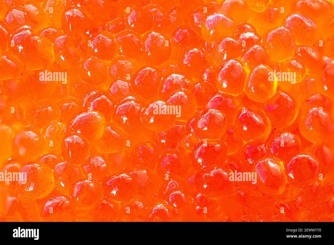 Red salmon caviar texture as a background. Caviar Pattern Stock Photo ...