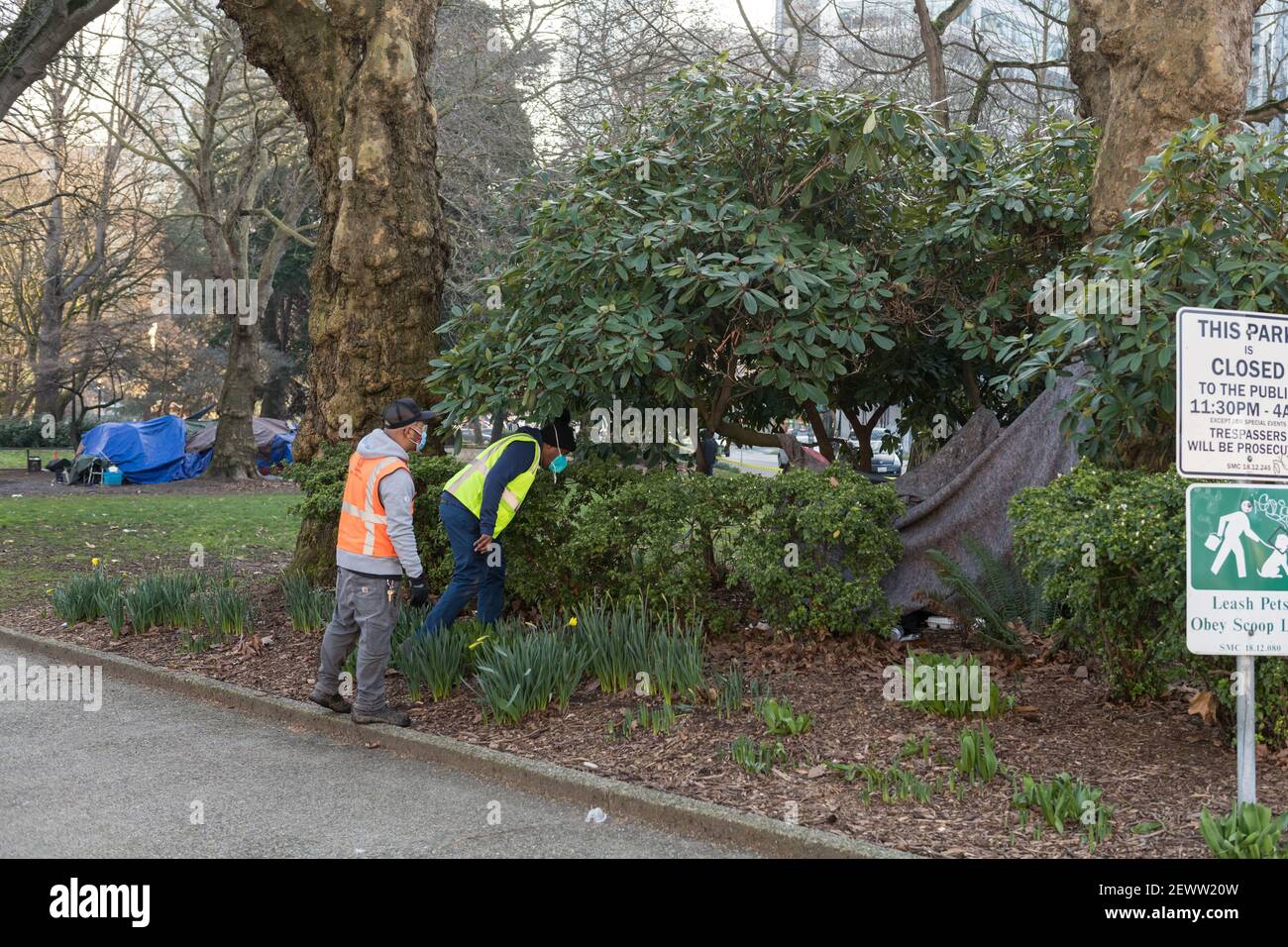 Seattle, USA. 3rd Mar, 2021. The parks department preparing to remove a ...