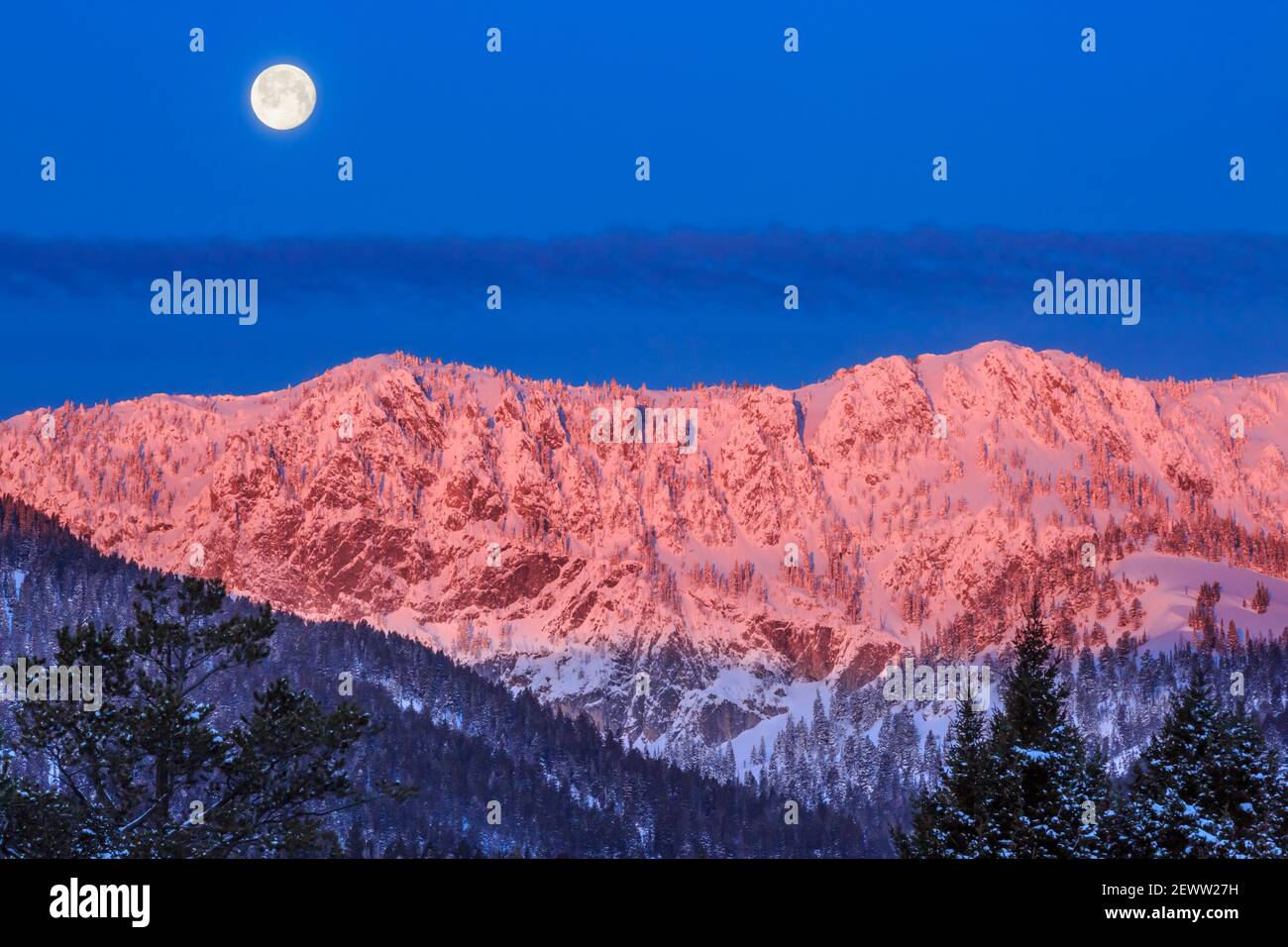 Mt d7445 hi-res stock photography and images - Alamy