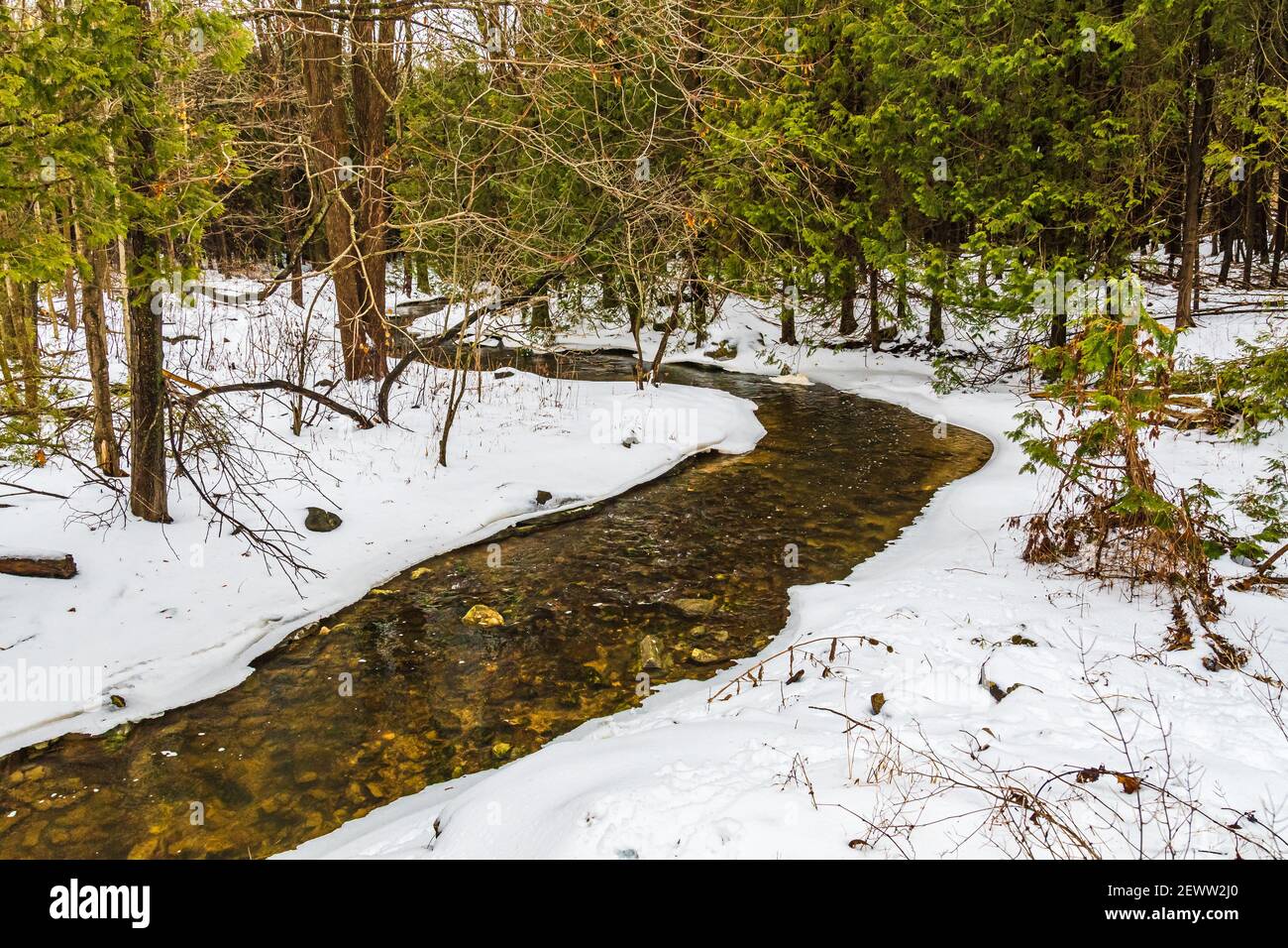 Grey Sauble Conservation Area Niagara Escarpment Owen Sound Ontario ...
