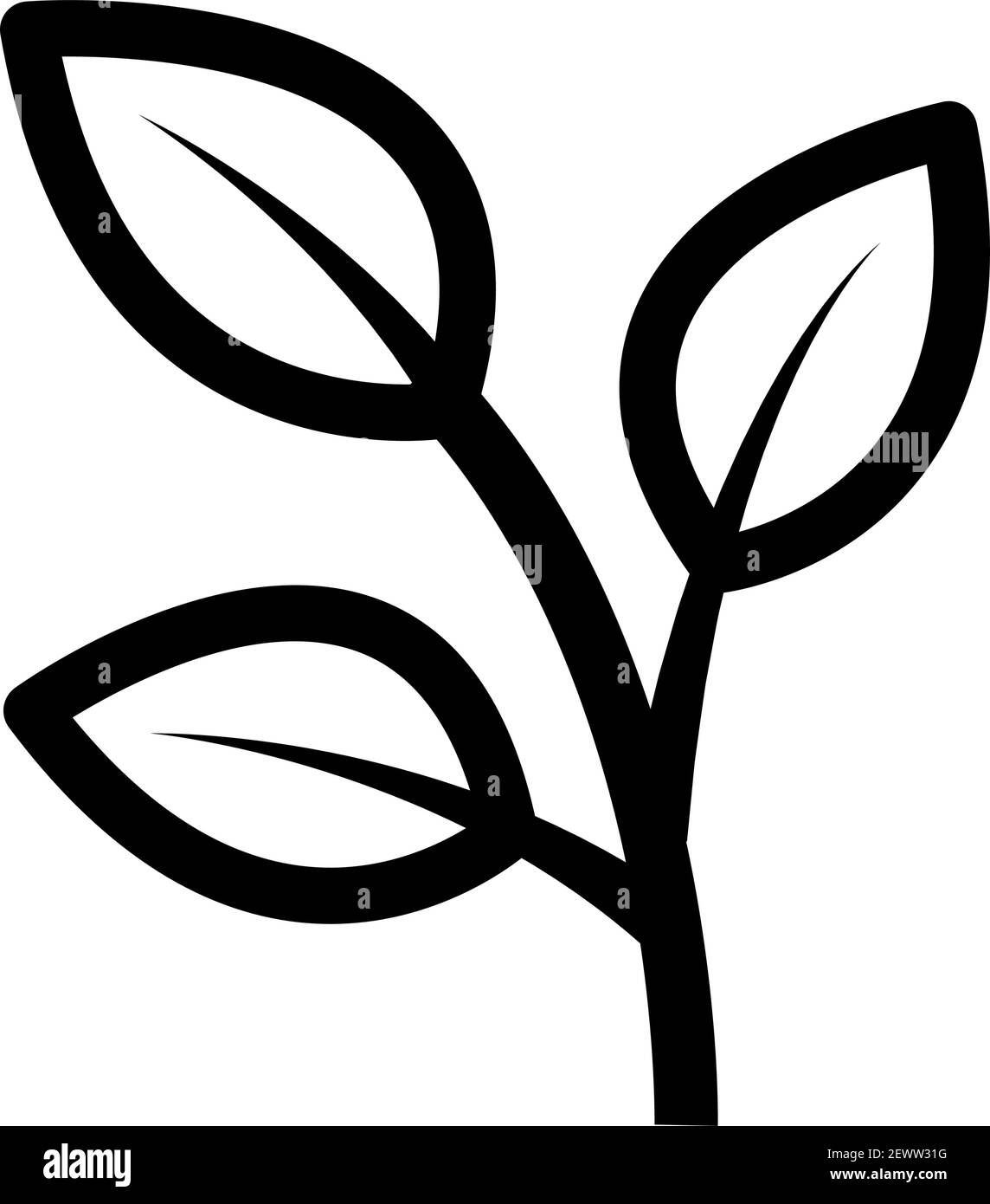 Tree Branch Outline