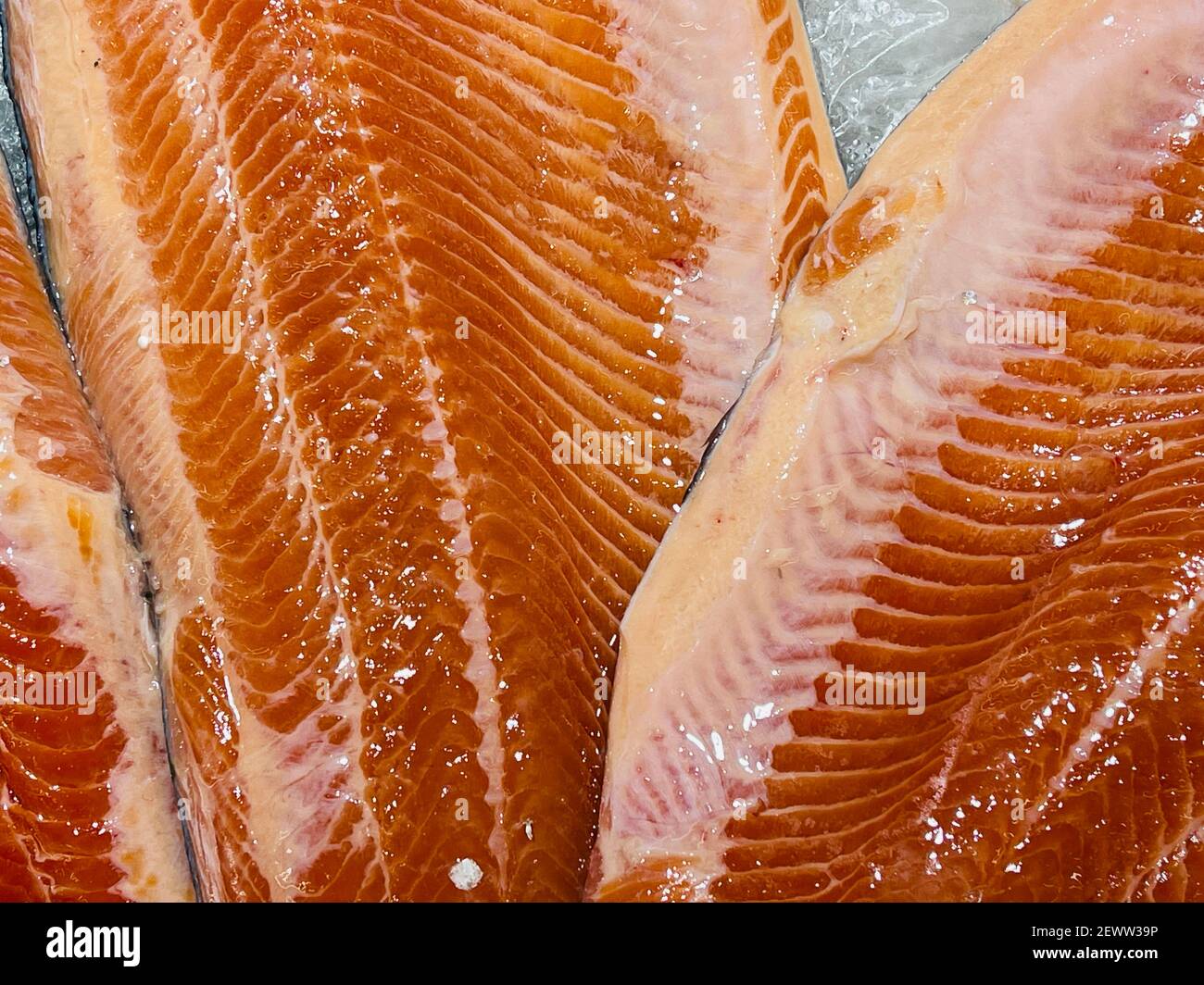 Close-up of fresh fillet of raw fish in pieces of ice. Chilled fish ...