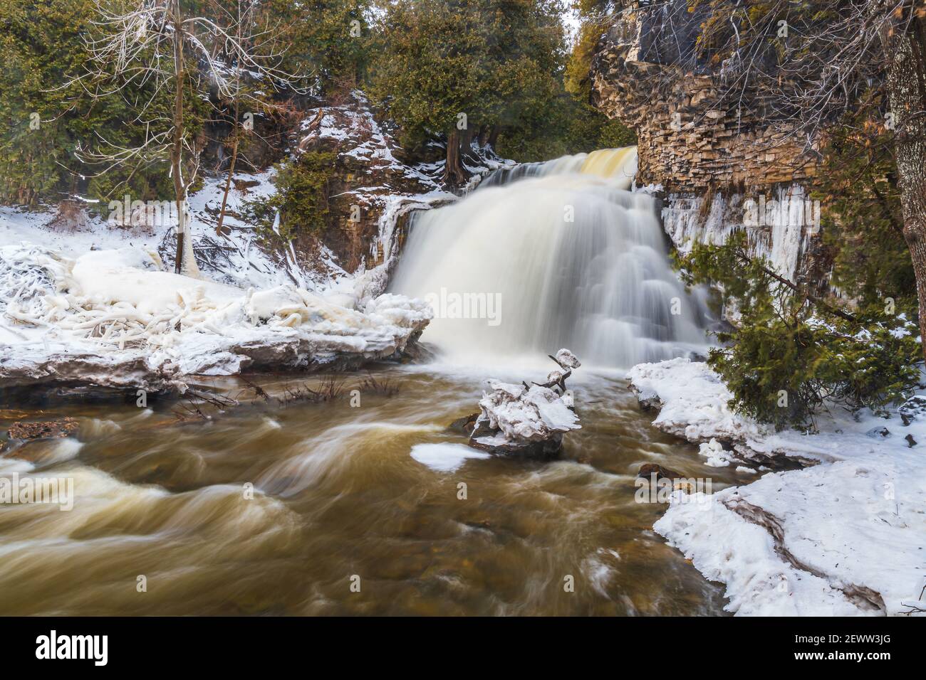 Grey sauble conservation hi-res stock photography and images - Alamy