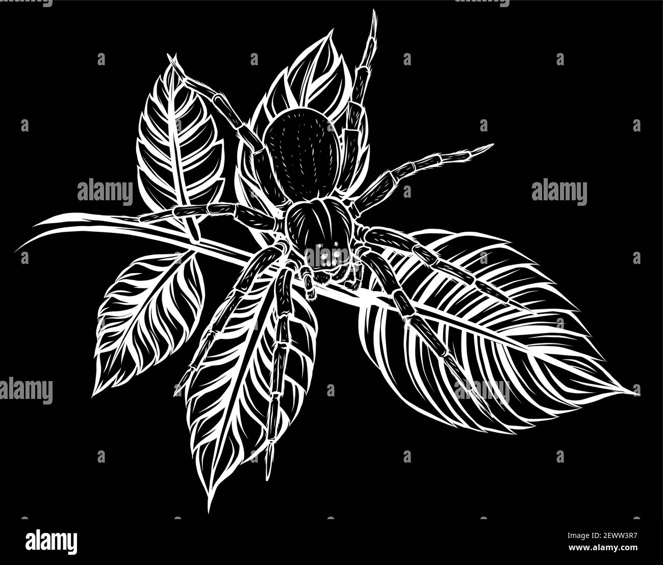 Wet algae Stock Vector Images - Alamy