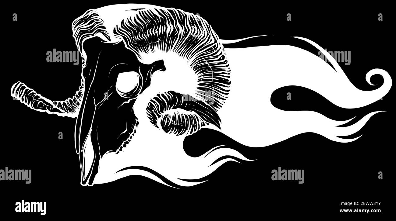 Ram skull side hi-res stock photography and images - Alamy