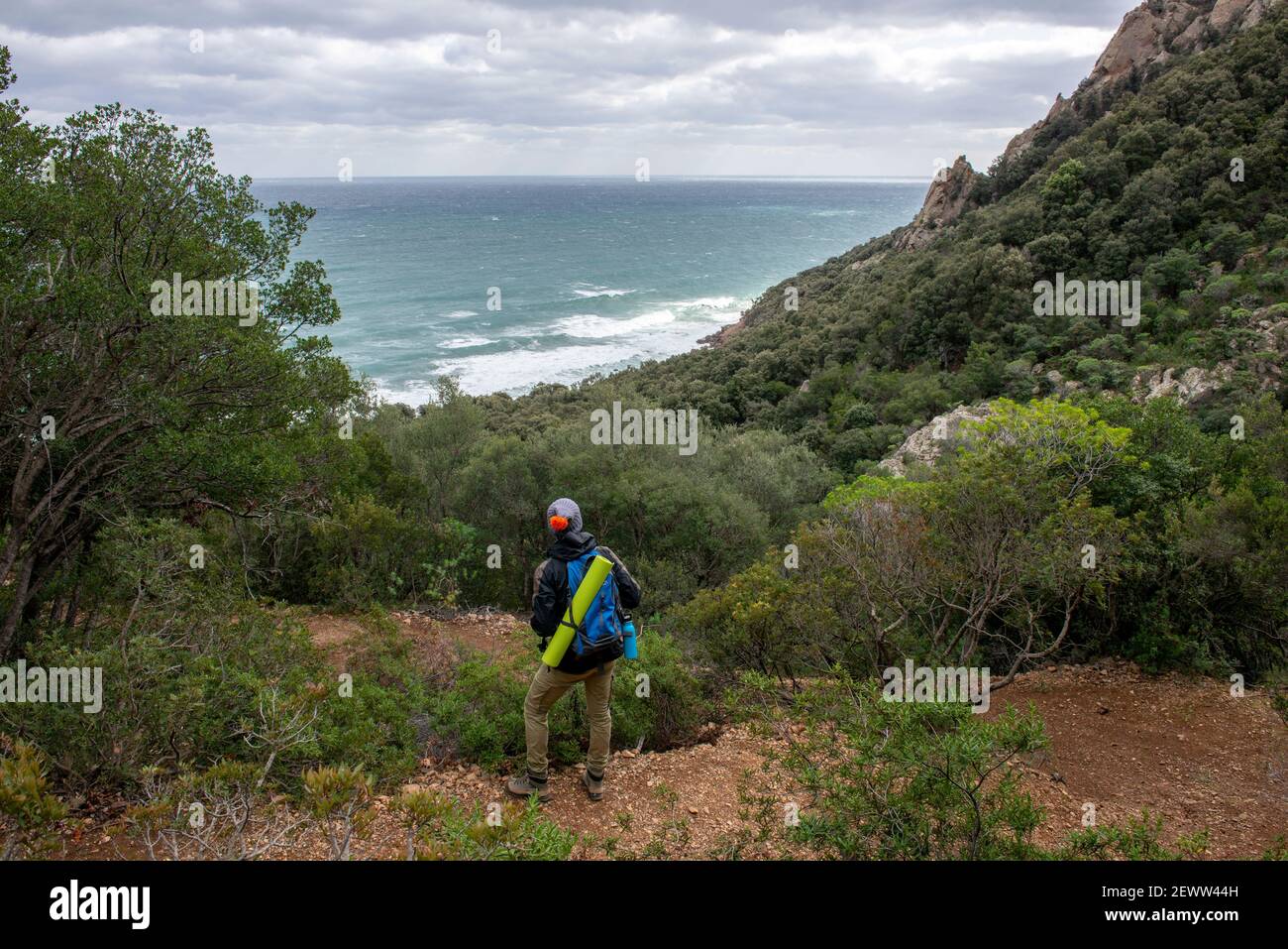 hiker with backpacks in the forest, nature walks Stock Photo - Alamy