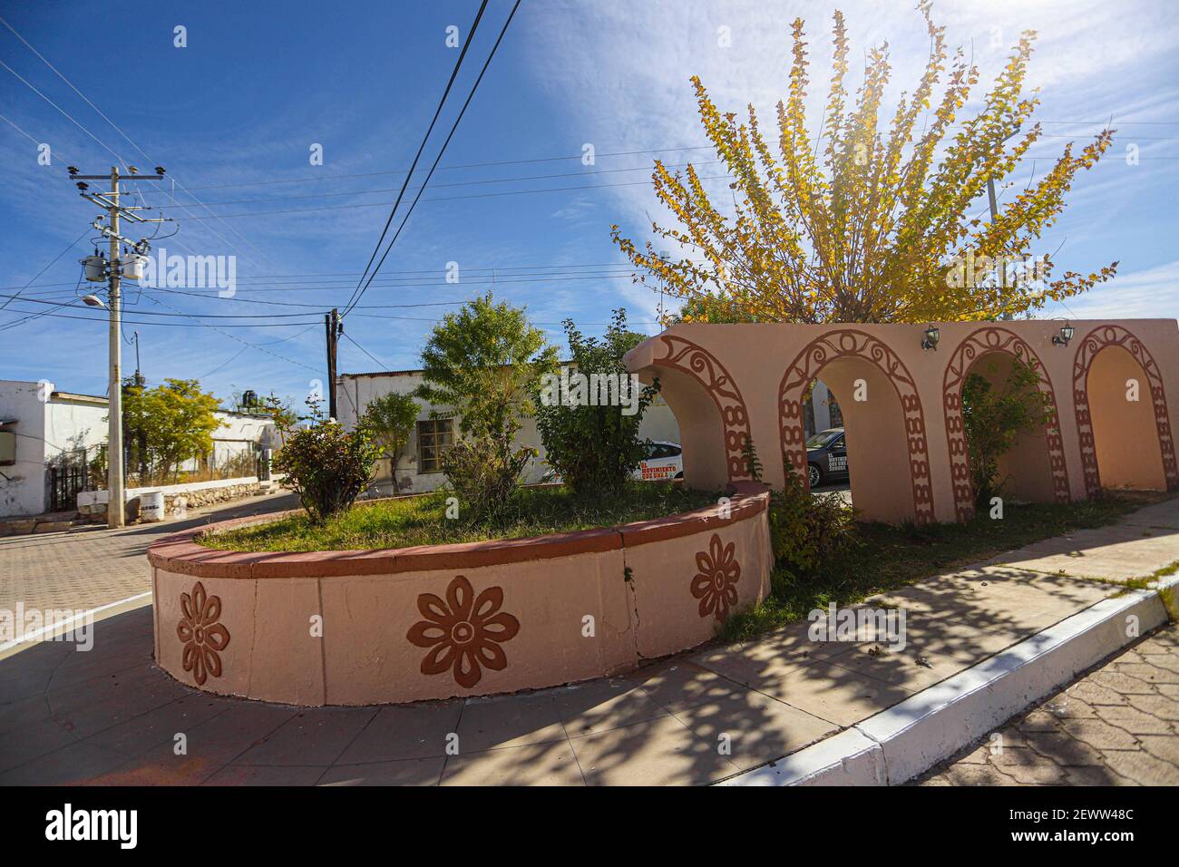 Tree and arch in Tubutama town, Sonora, Mexico. (Photo by Luis ...