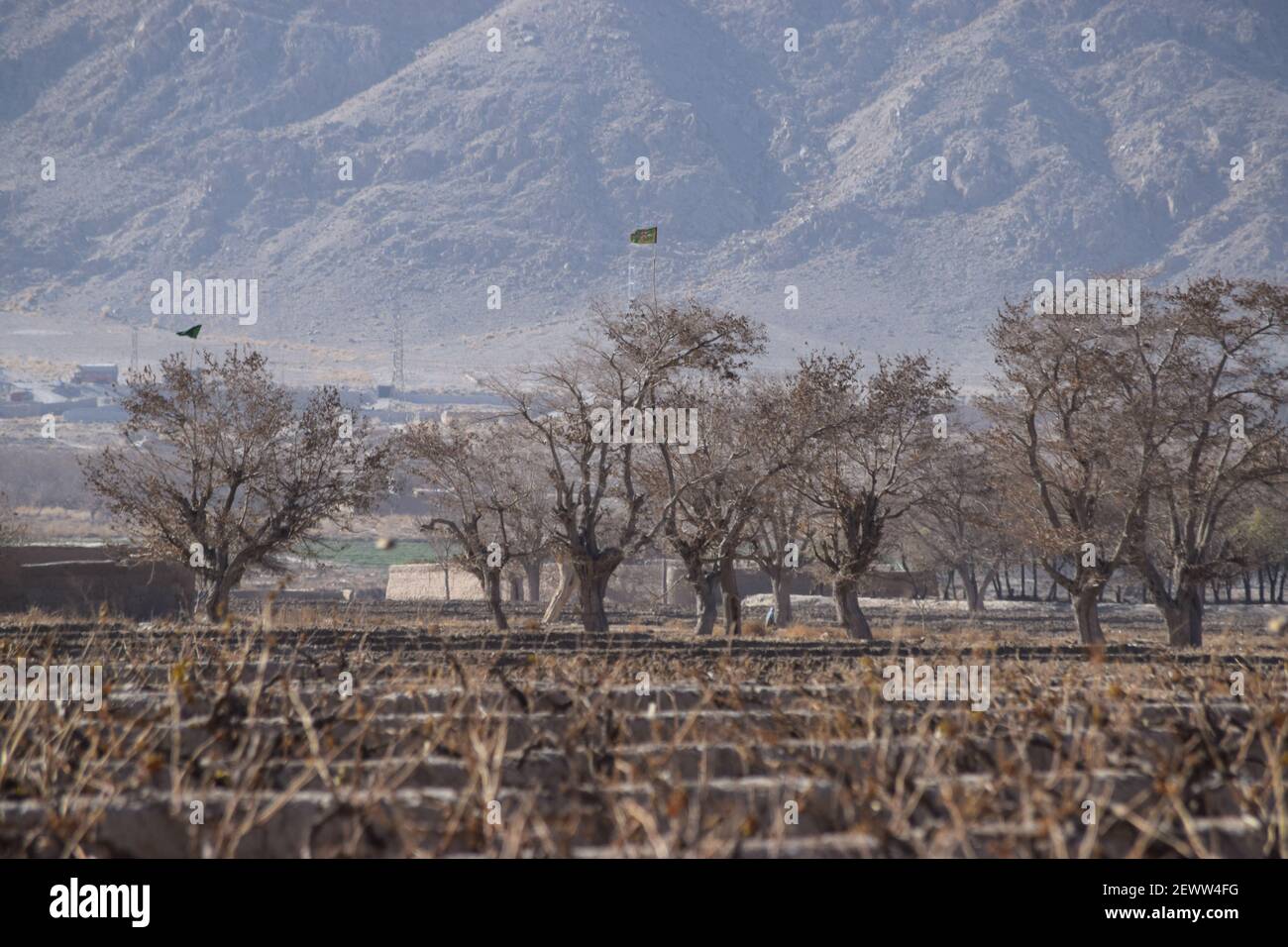 Dry trees leaf summer season, grass green land plant, old building blue ...