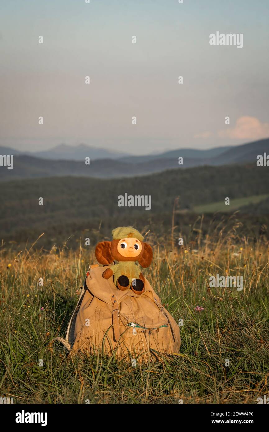 Old original vintage canvas tourist backpack and the original, old ...