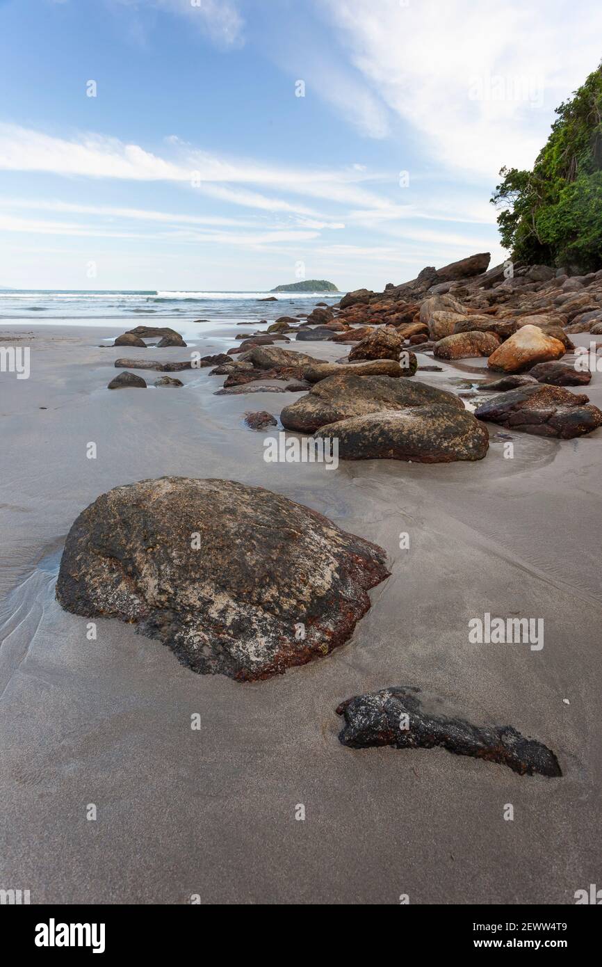 Rocks and trees in a beach in Brazil Stock Photo - Alamy