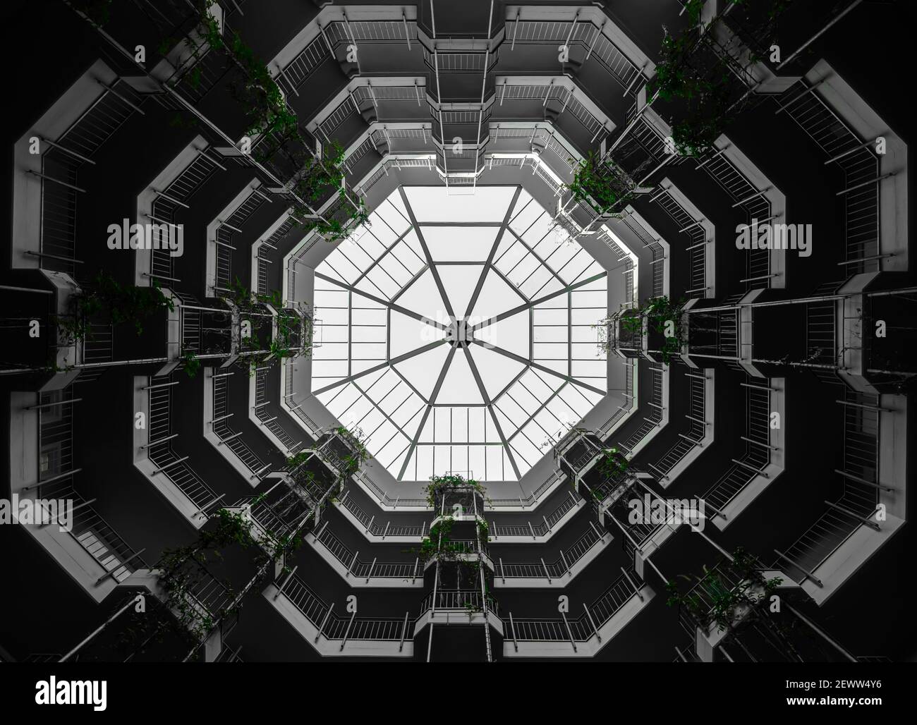 Atrium plants hi-res stock photography and images - Alamy