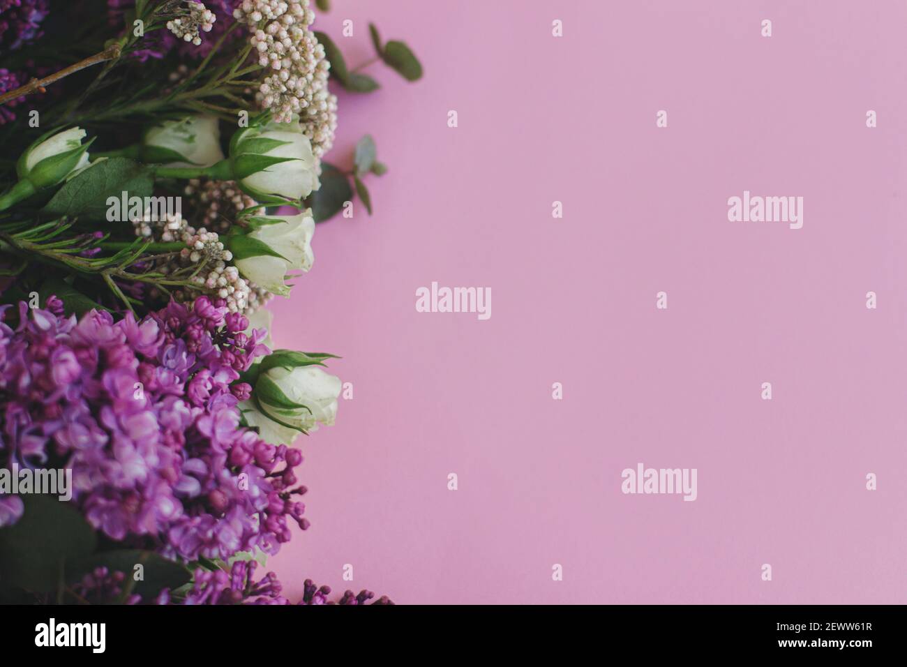 Beautiful lilac and roses fresh colorful border on bright pink ...