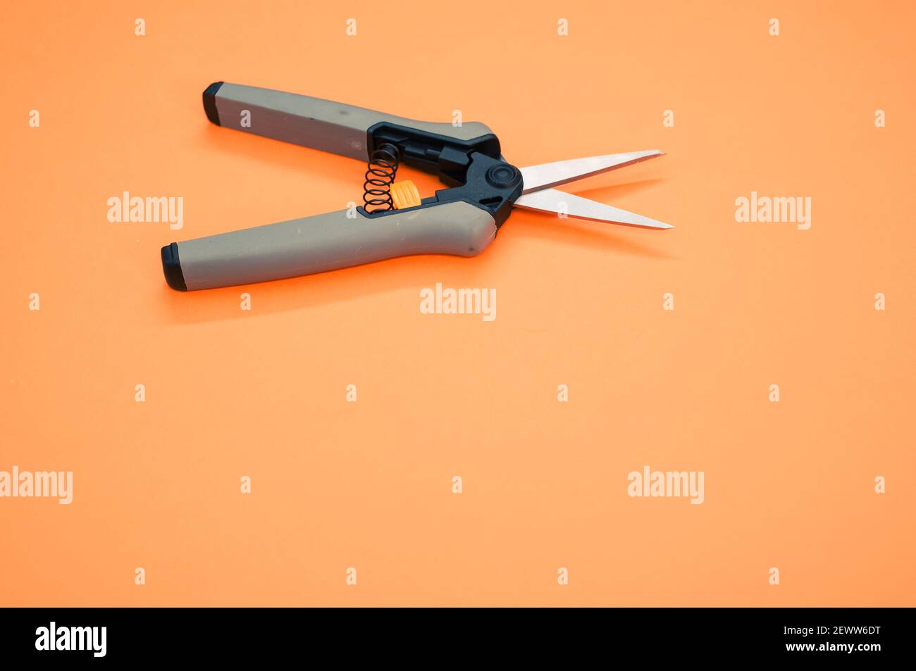 Garden scissors in the orange background with a copy space Stock Photo ...