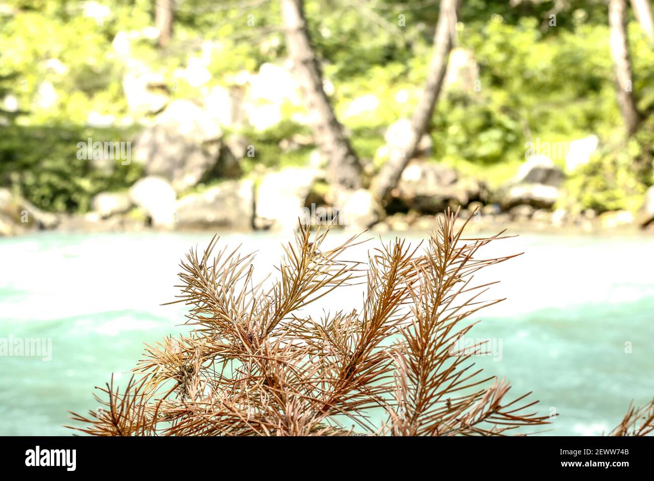 Kumrat pakistan hi-res stock photography and images - Alamy