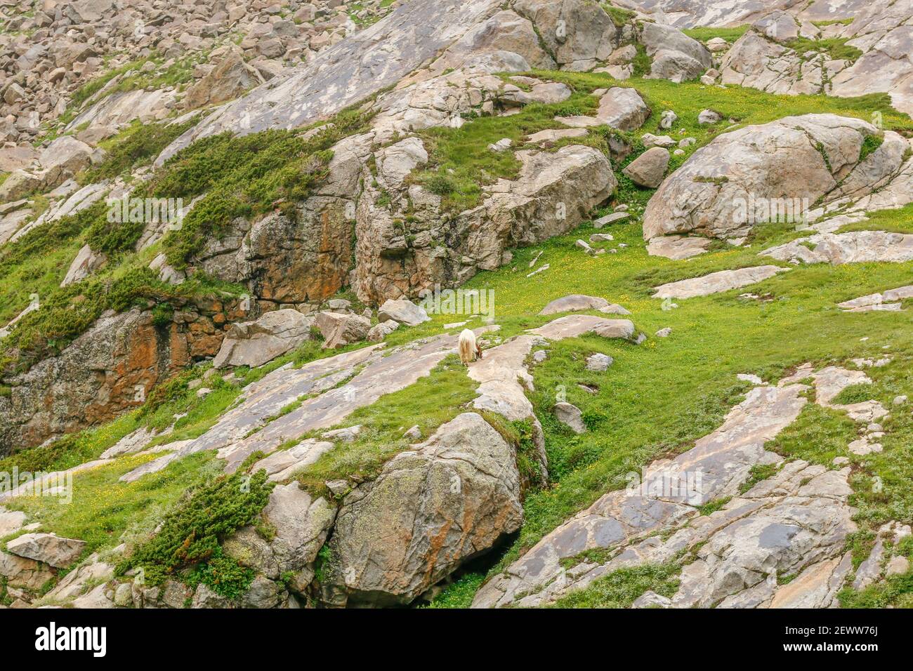 Map of rocky hill hi-res stock photography and images - Alamy