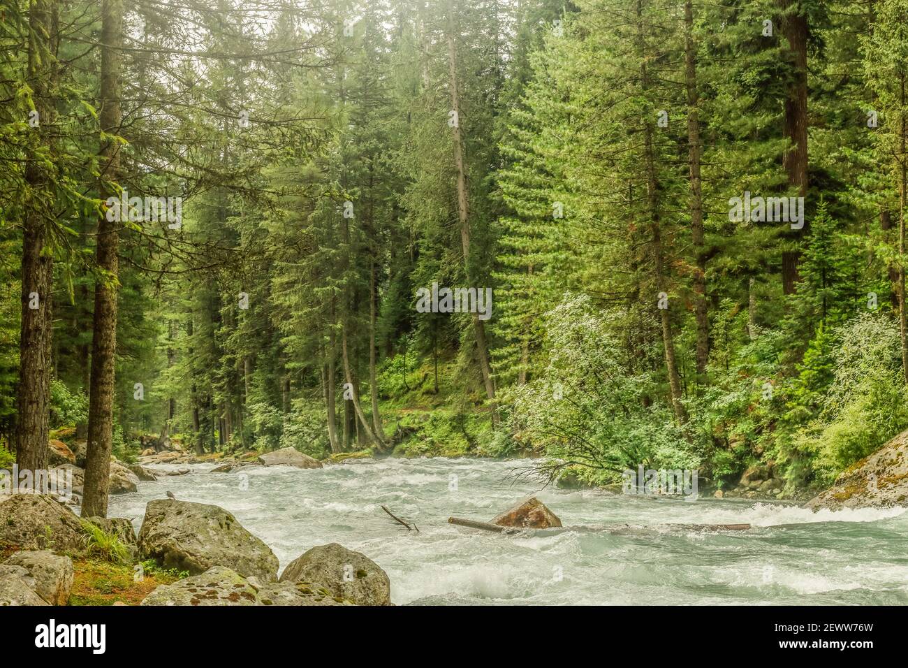 Kumrat pakistan hi-res stock photography and images - Alamy