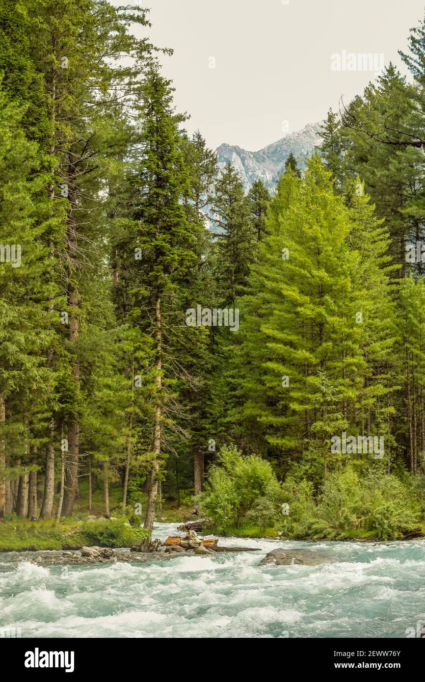 Kumrat pakistan hi-res stock photography and images - Alamy