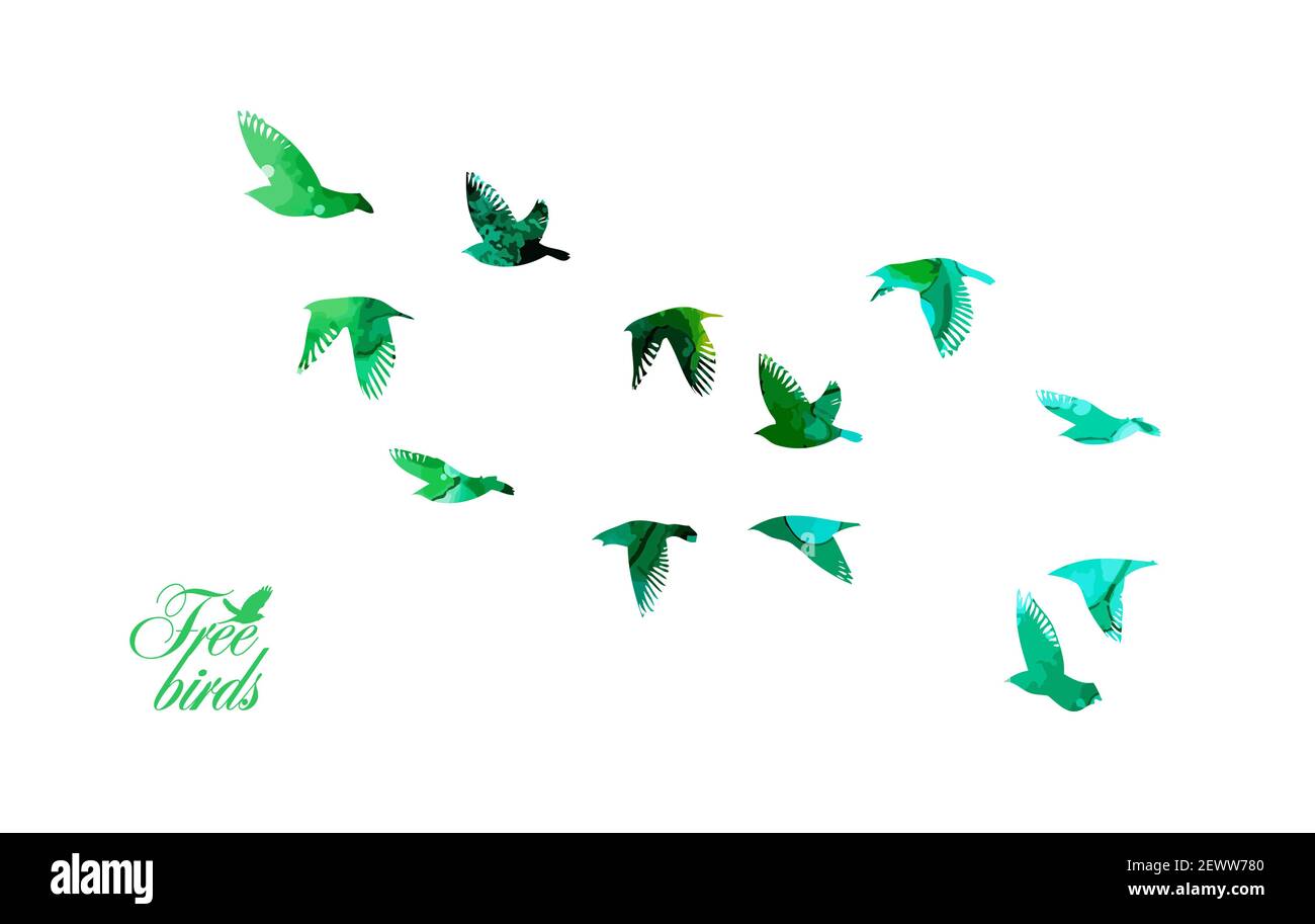 Bird watercolor. A flock of colorful birds. Vector Stock Vector Image ...