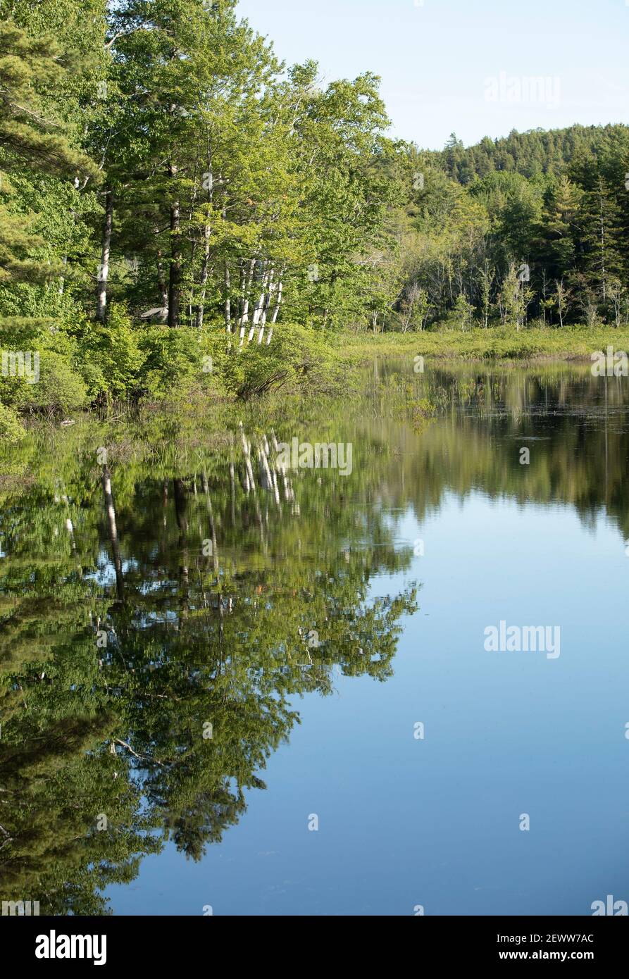 11 spots hi-res stock photography and images - Alamy