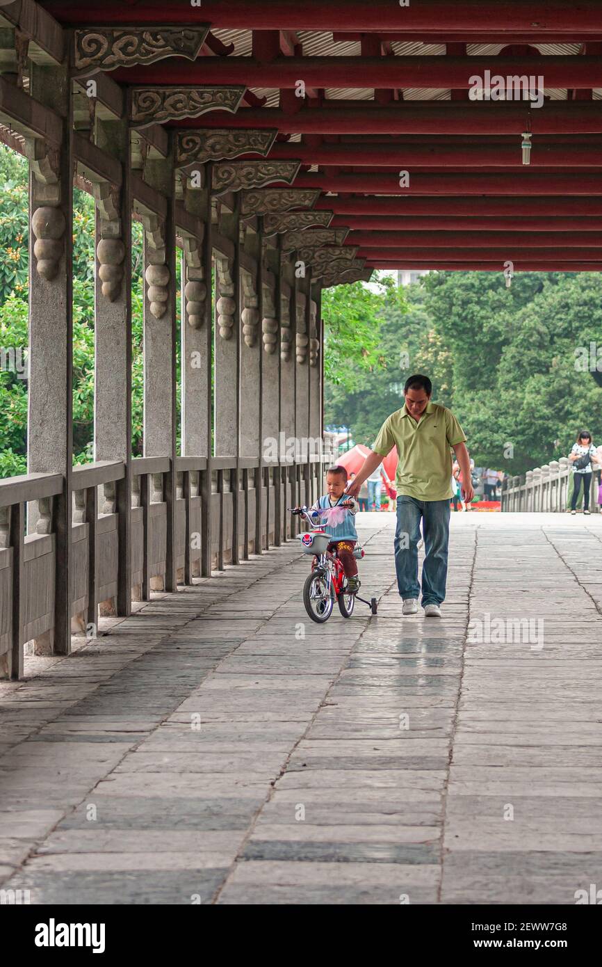 Seven Son Flower High Resolution Stock Photography and Images - Alamy