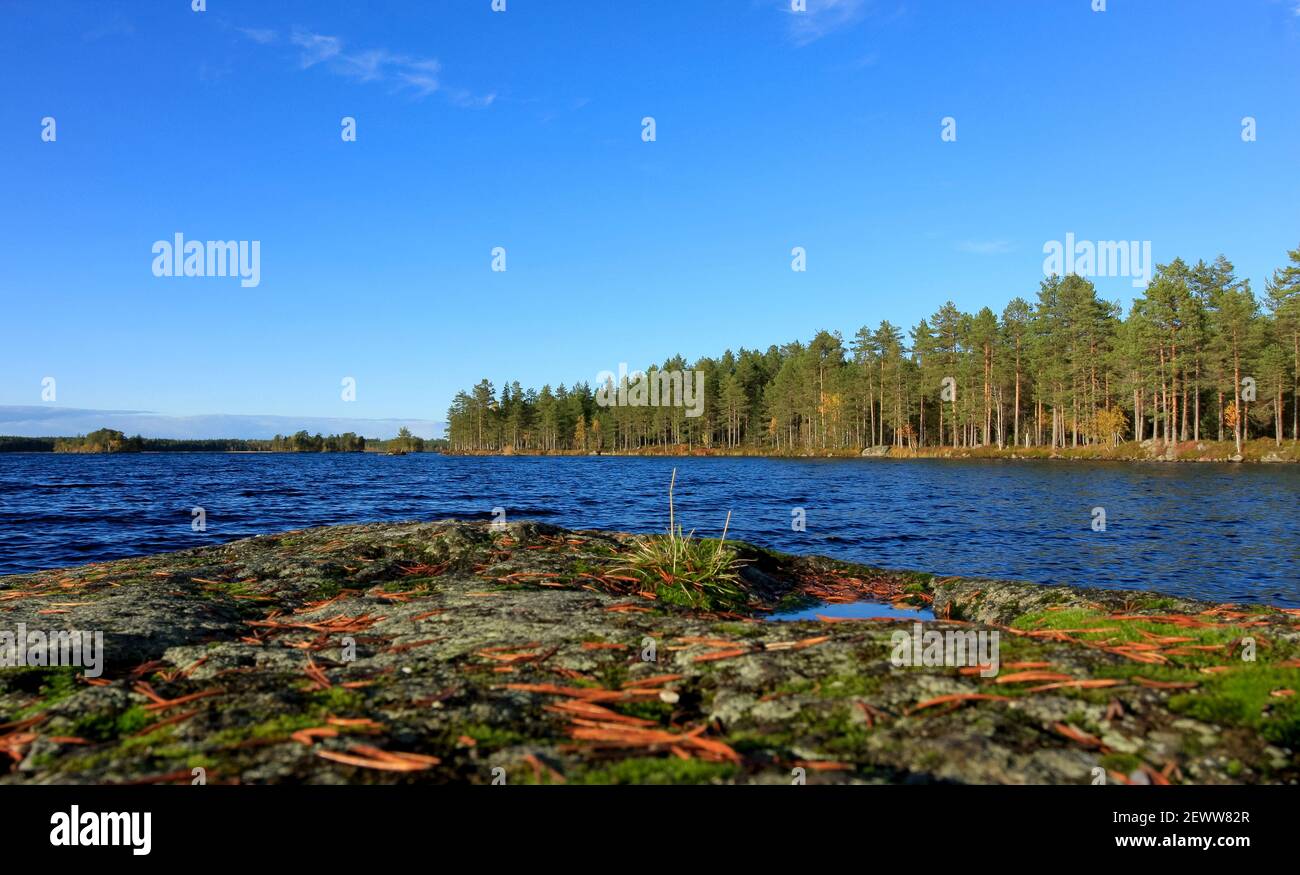 Forest and lake in the taiga area. Closeup on a cliff, rock this side ...