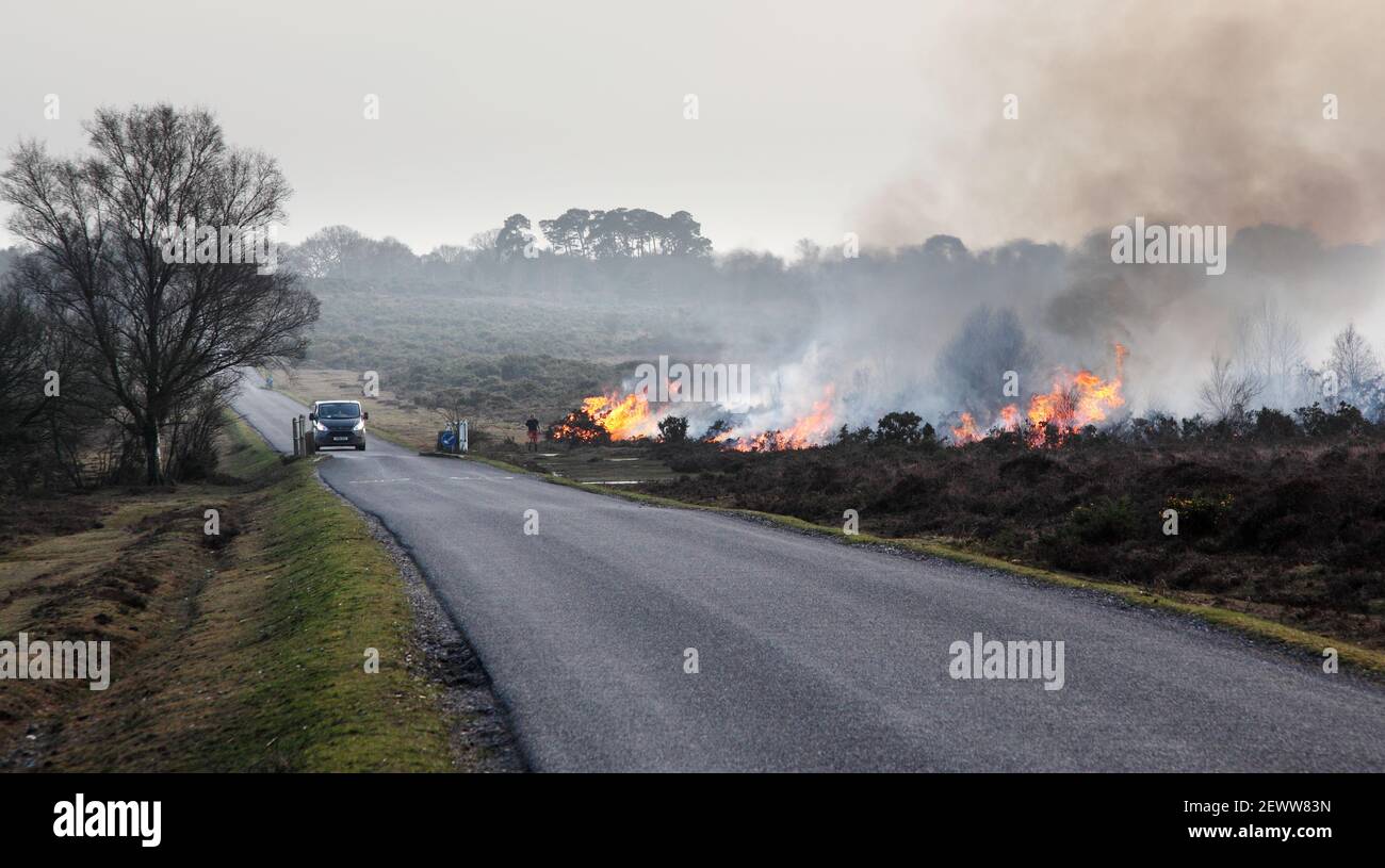 Controlled fire burn hi-res stock photography and images - Alamy