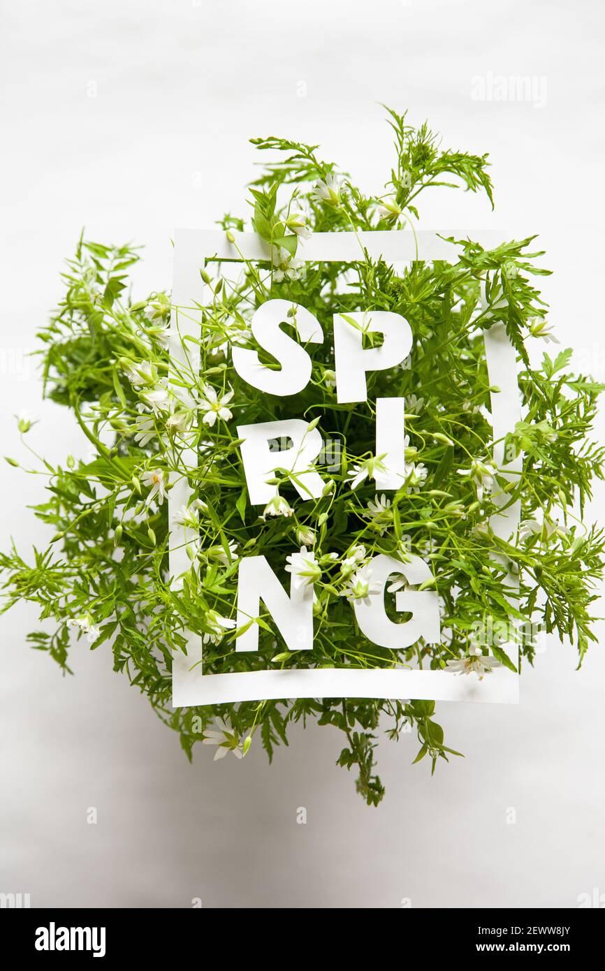 Inscription frame hi-res stock photography and images - Alamy