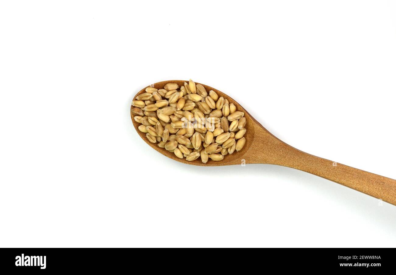 wheat grains in a wooden spoon isolated on white background Stock Photo ...