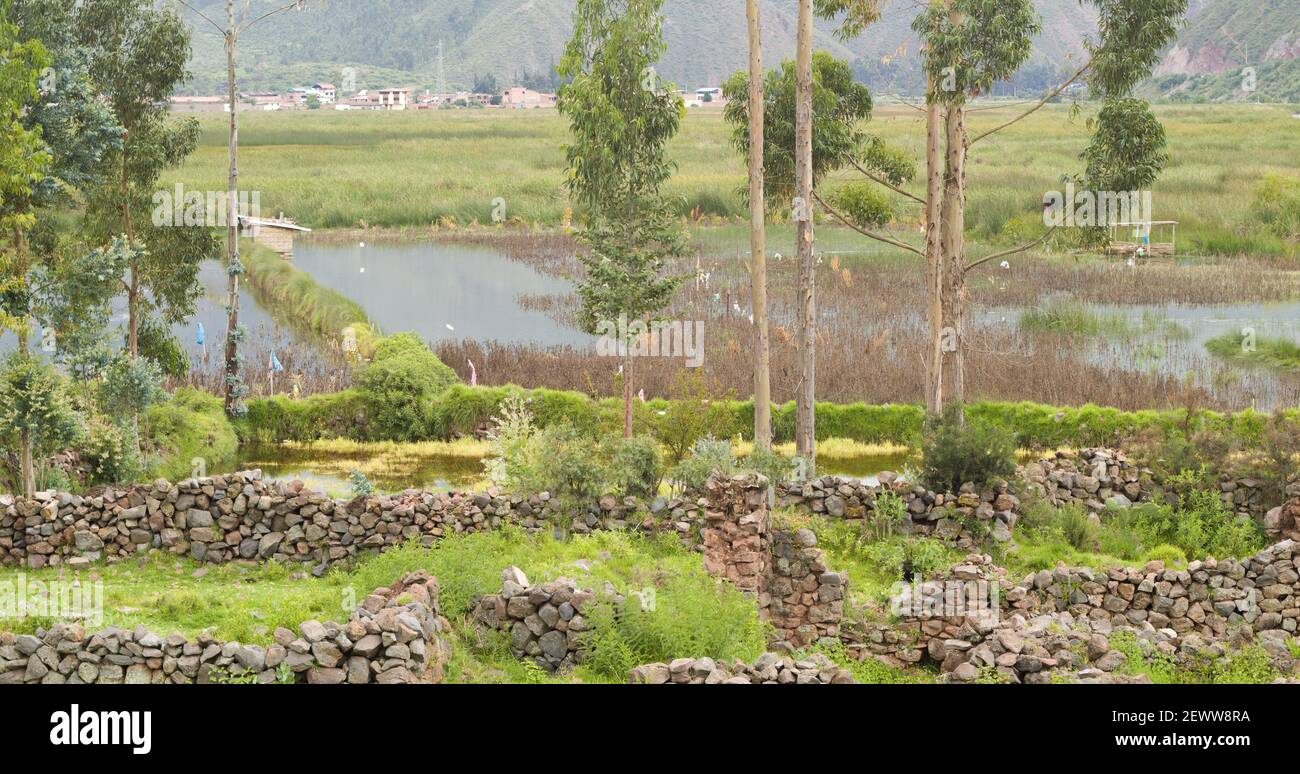 trees and inca stone wall ruins next to lake in cusco peru Stock Photo ...