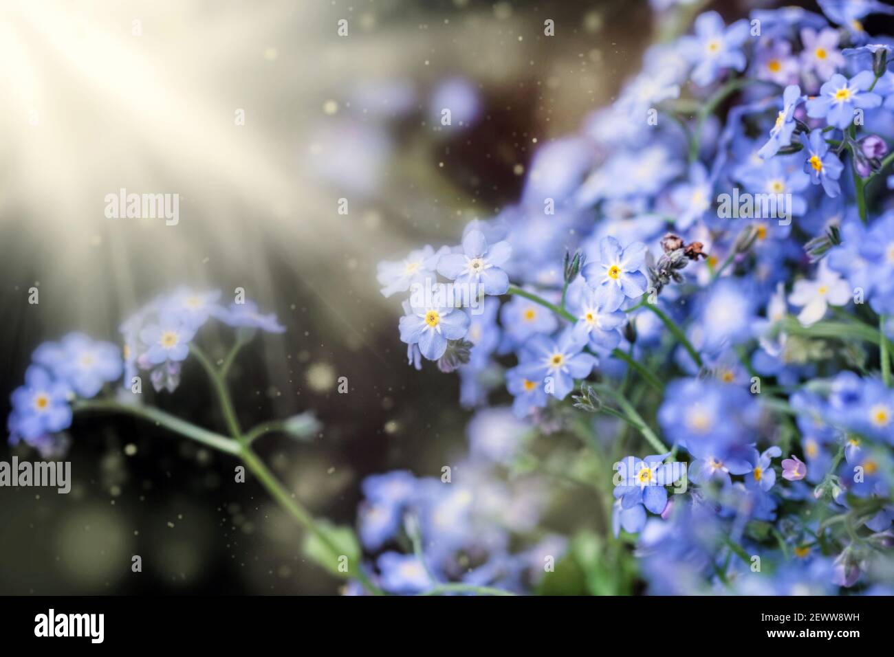 Soft light rays hi-res stock photography and images - Alamy