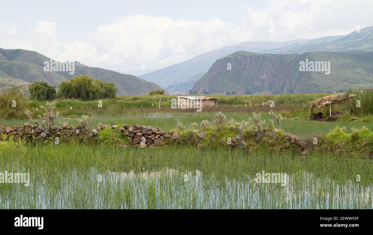 Pikillaqta archaeological site with underwater walls in lake in Cusco ...