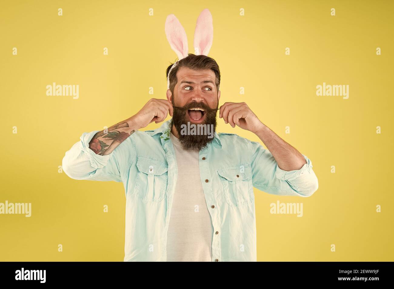Having fun. Barber salon. Lucky guy. Man long rabbit ears. Bearded man ...