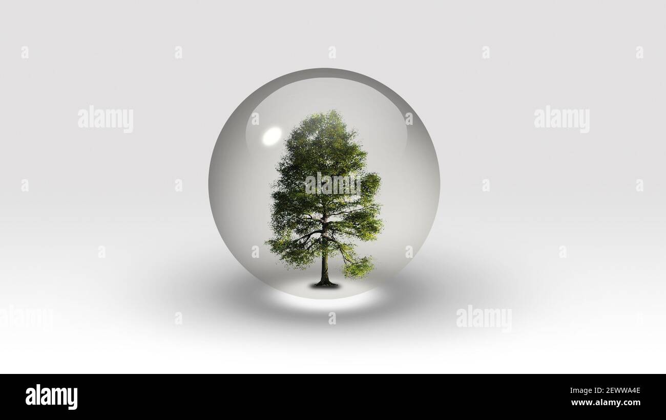 Tree inside bubble. 3D rendering Stock Photo - Alamy
