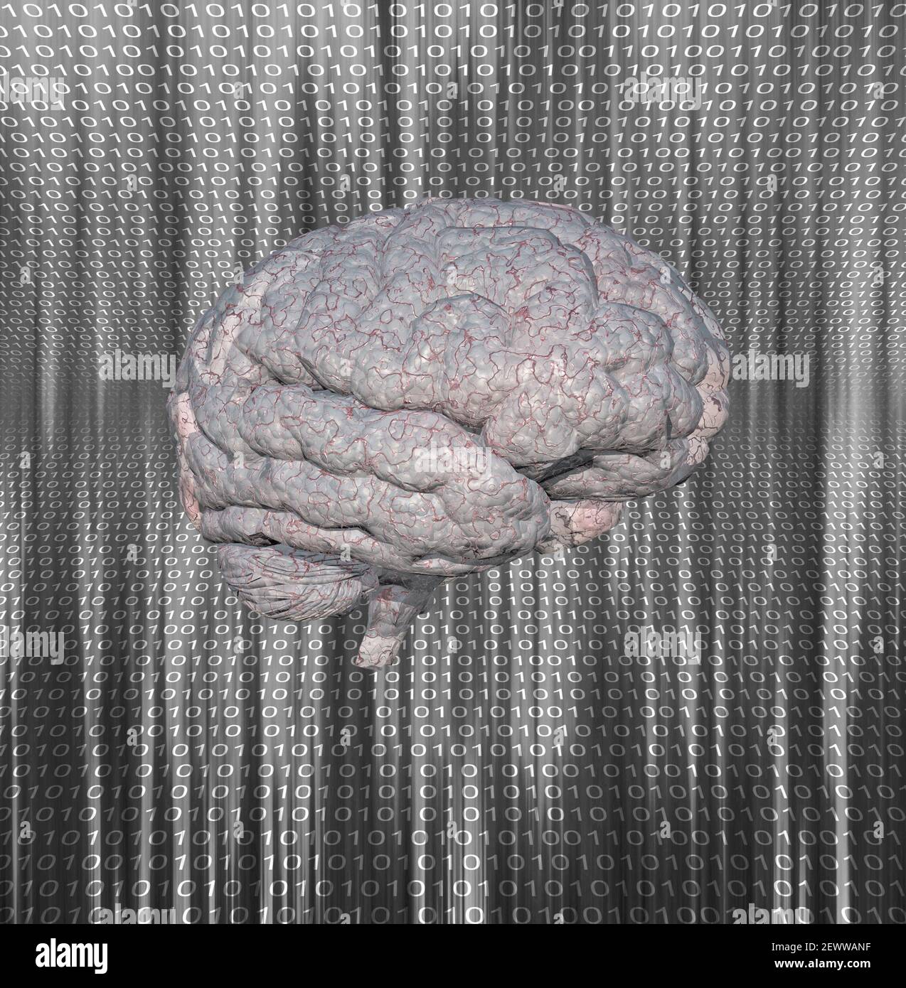 Digital brain with binary code pattern. 3d rendering Stock Photo - Alamy