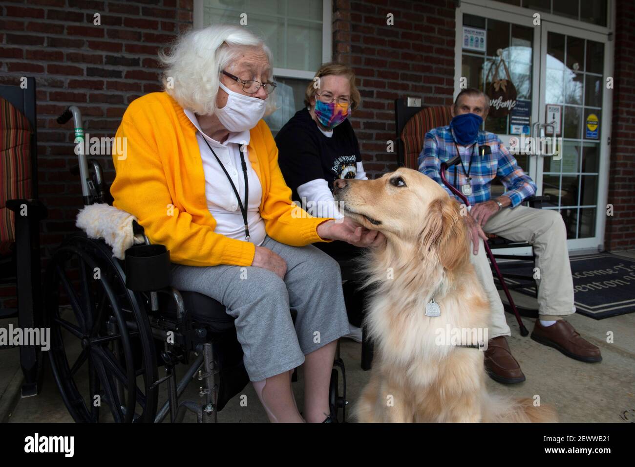 Sugar Hill, GA, USA. 1st Mar, 2021. Marshall, a two-year-old Golden ...