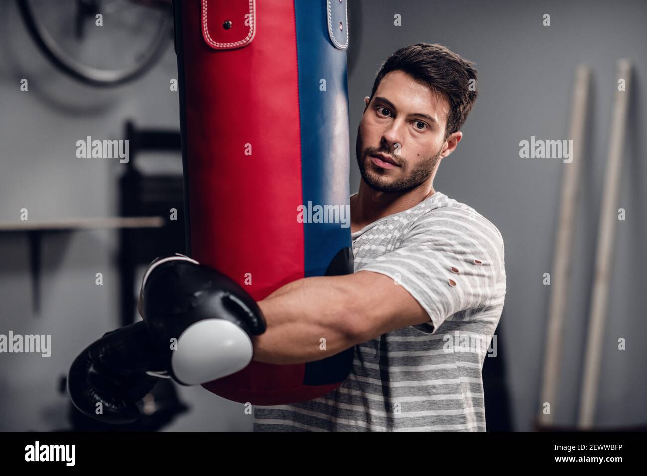 an athlete boxer poses for a photo session in the hall where he is ...