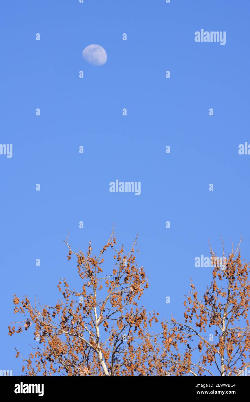 Daytime over hi-res stock photography and images - Alamy