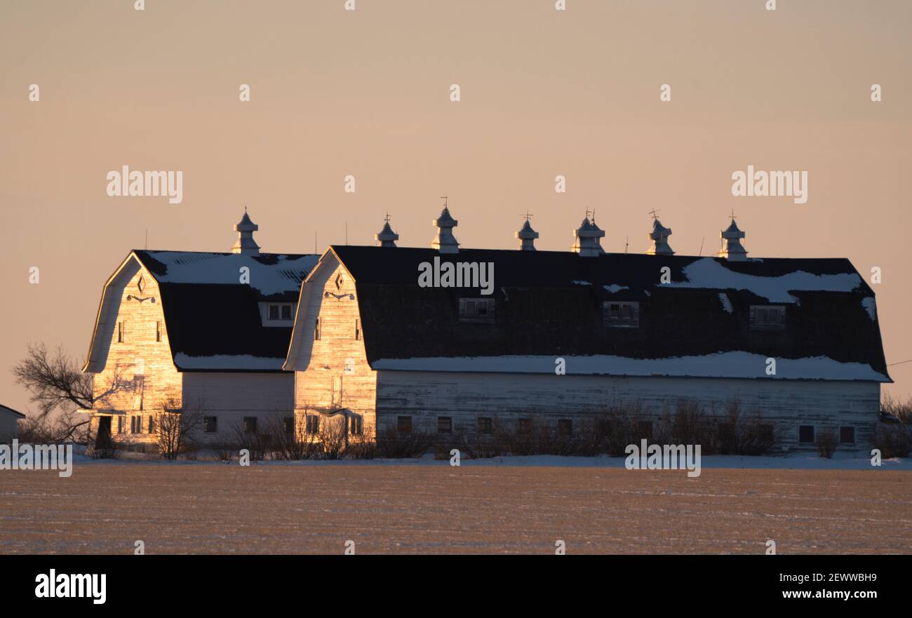 Canada prairie barn winter hi-res stock photography and images - Alamy