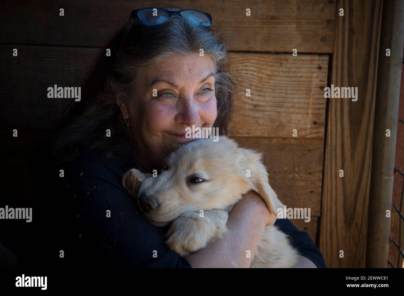 How Are Medical Alert Dogs Trained