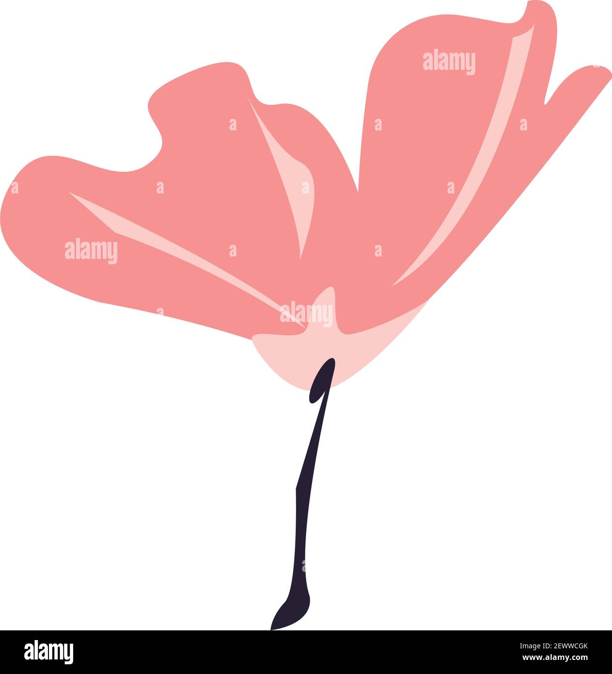 pink exotic flower nature icon Stock Vector Image & Art - Alamy
