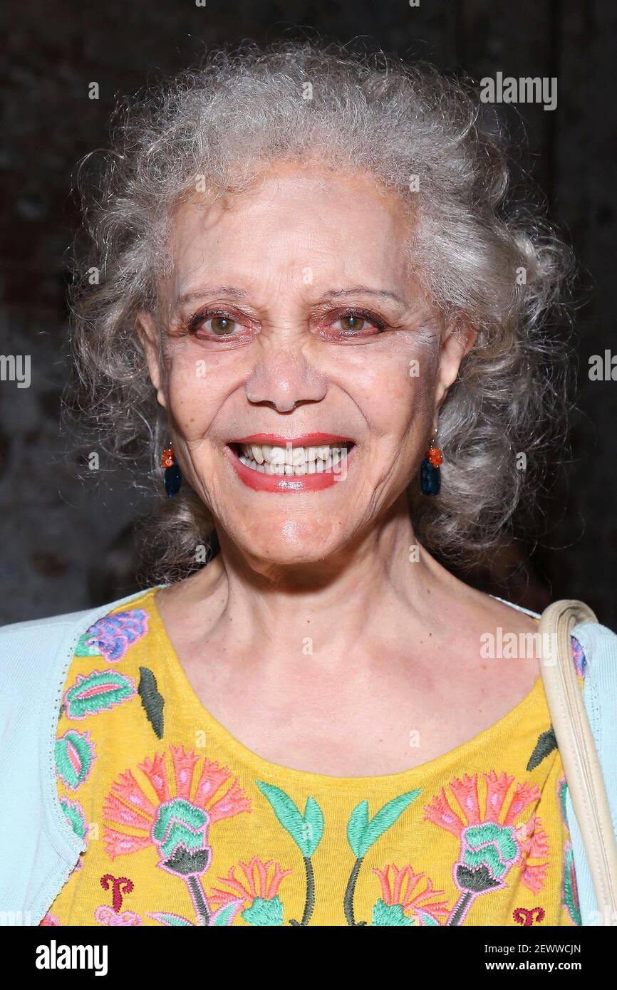 Holly moore hi-res stock photography and images - Alamy