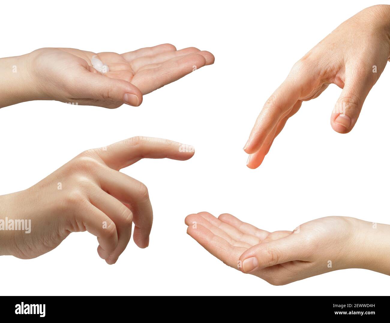 female hands. collection. brush hands on white background. isolate ...