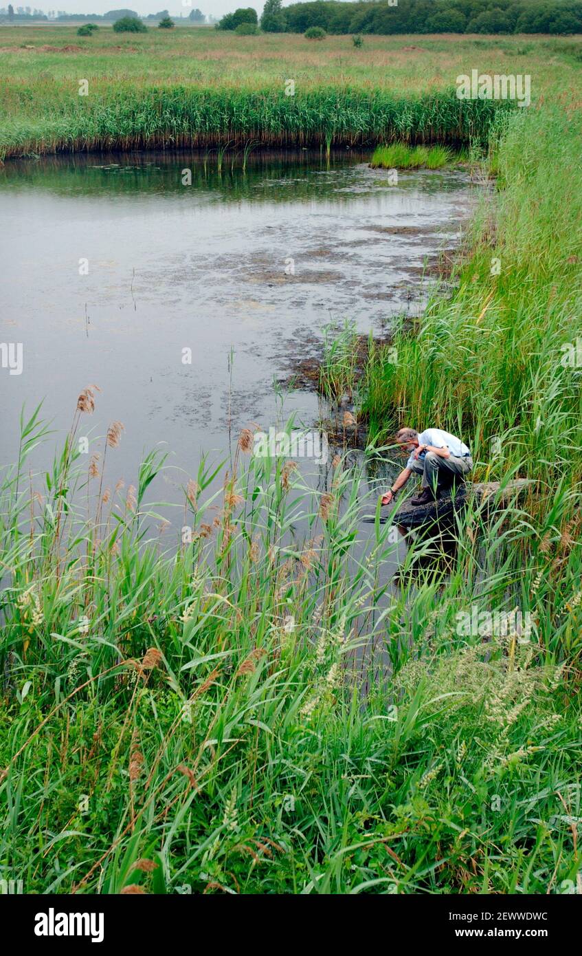 ALAN BOWLEY SITE MANAGER AT WOODWALTON FEN NATIONAL NATURE RESERVE.24/6 ...