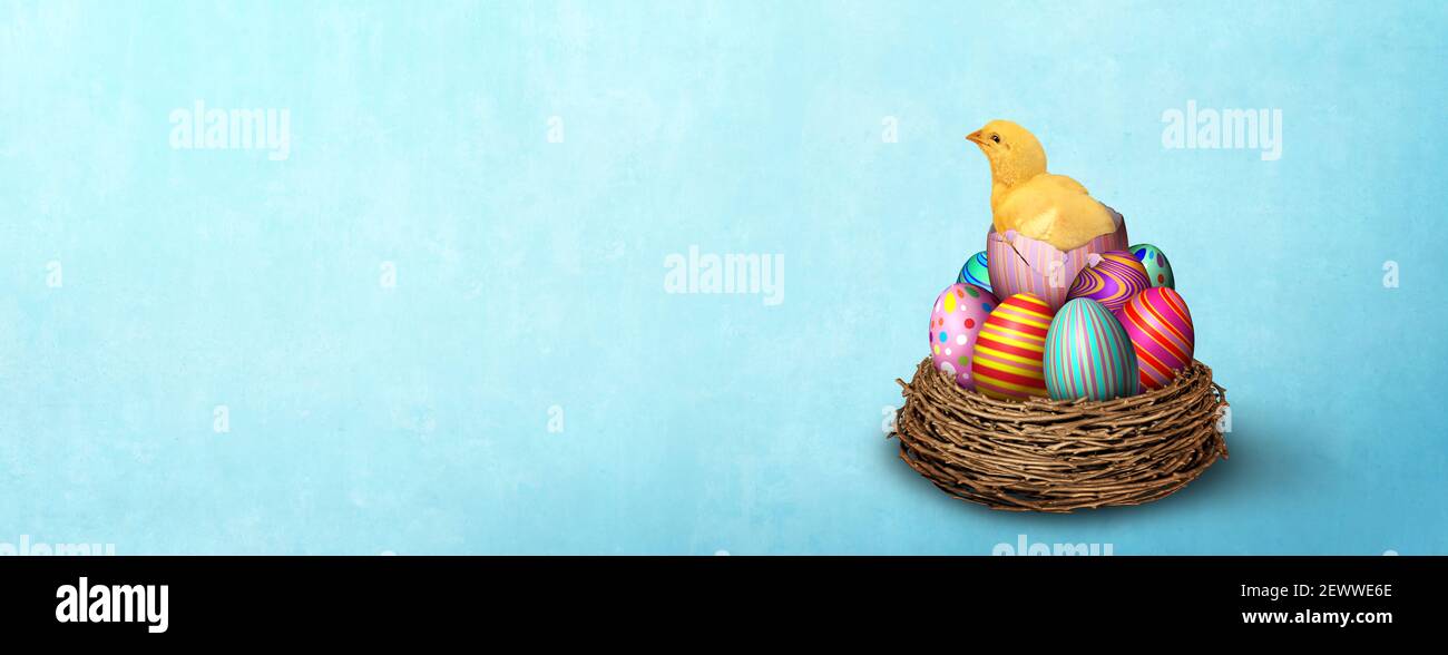 Easter banner spring season celebration with a yellow chick sitting on ...