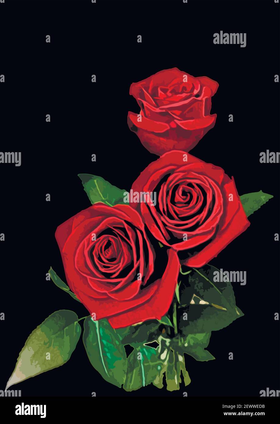 Three red roses on a black background - A4 postcard, vertical. Isolate ...