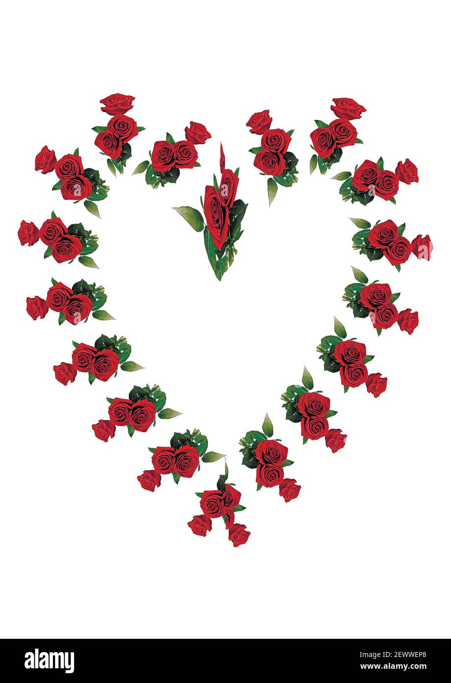Frames - a bouquet of three red roses. Flowers on the white background ...