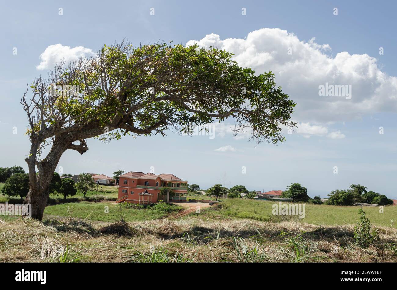 Mango house hi-res stock photography and images - Alamy