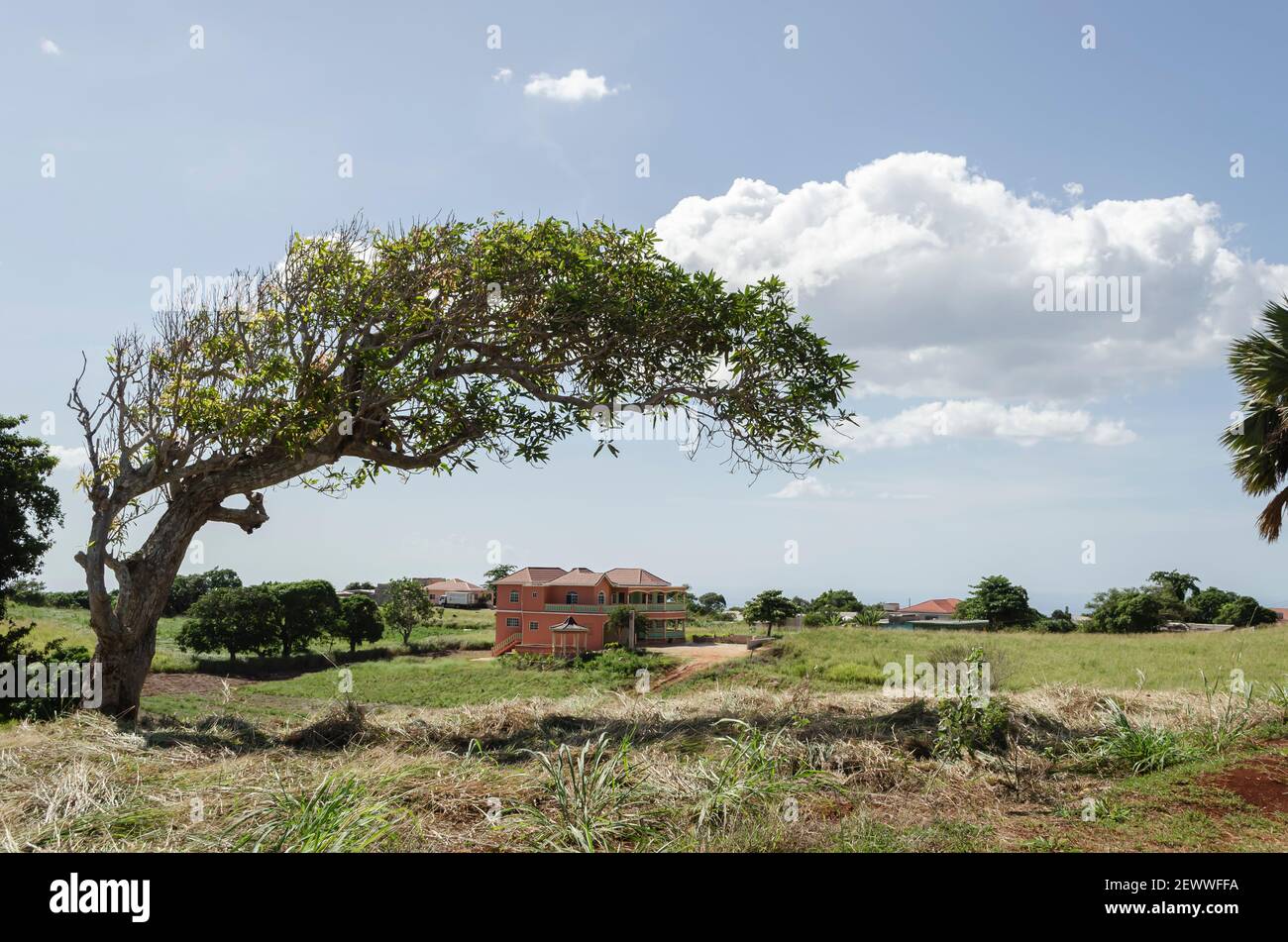 Landscape With Arch Mango Tree Stock Photo - Alamy